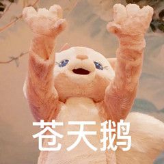 【STC15单片机】 超声波模块的使用_超声波模块使用方法-CSDN博客