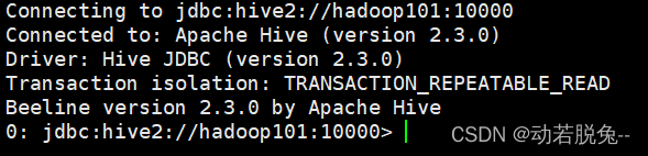Hive beeline客户端启动报错Could not open client transport with JDBC Uri: jdbc:hive2://hadoop101:10000 ...