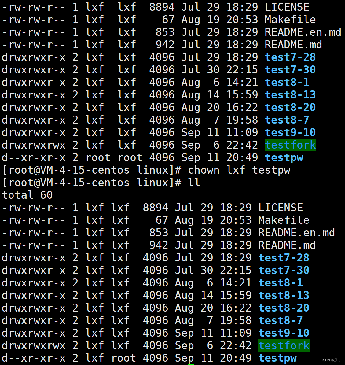 初始Linux——认识权限_chmod 666-CSDN博客