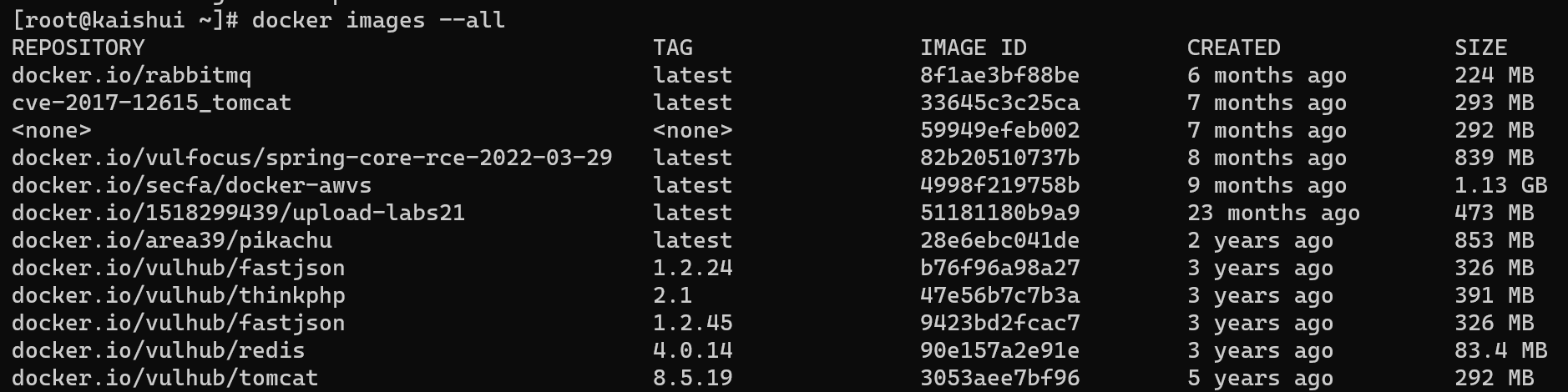 【Linux-Docker】Docker常用命令_linux下docker命令-CSDN博客