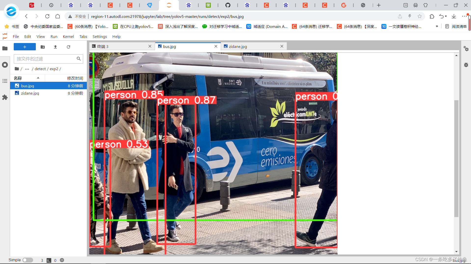 成功在autodl服务器上搭建yolov5的环境并测试成功_autodl yolo 安装部署-CSDN博客