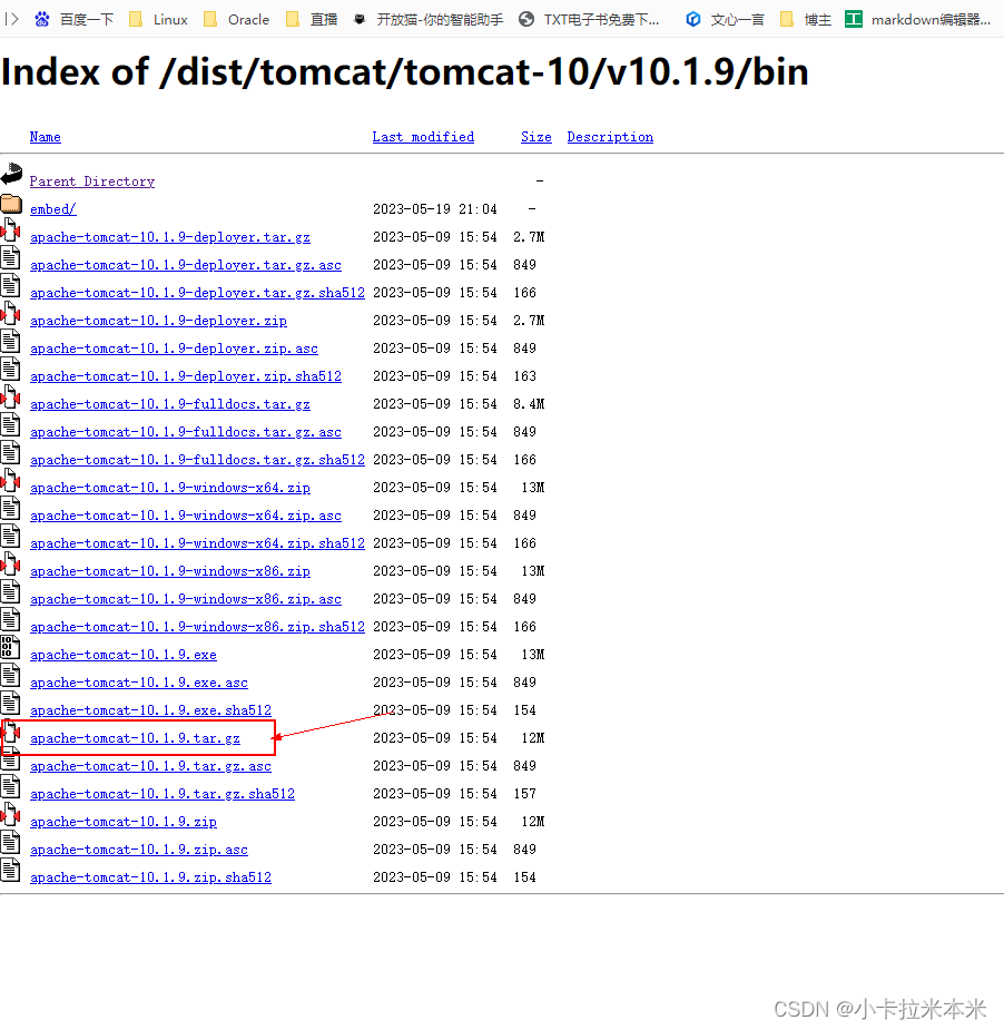 Centos7 Tomcat10 保姆级超详细安装_centos7安装tomcat10-CSDN博客