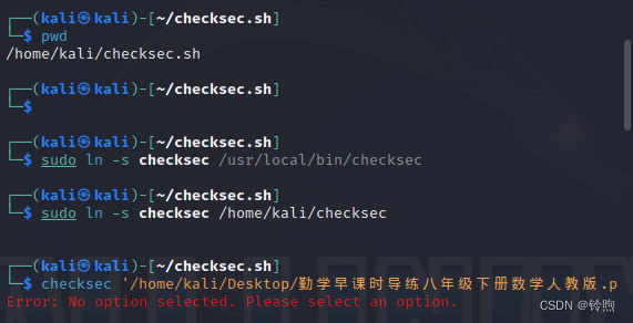 checksec：Too many levels of symbolic links-CSDN博客