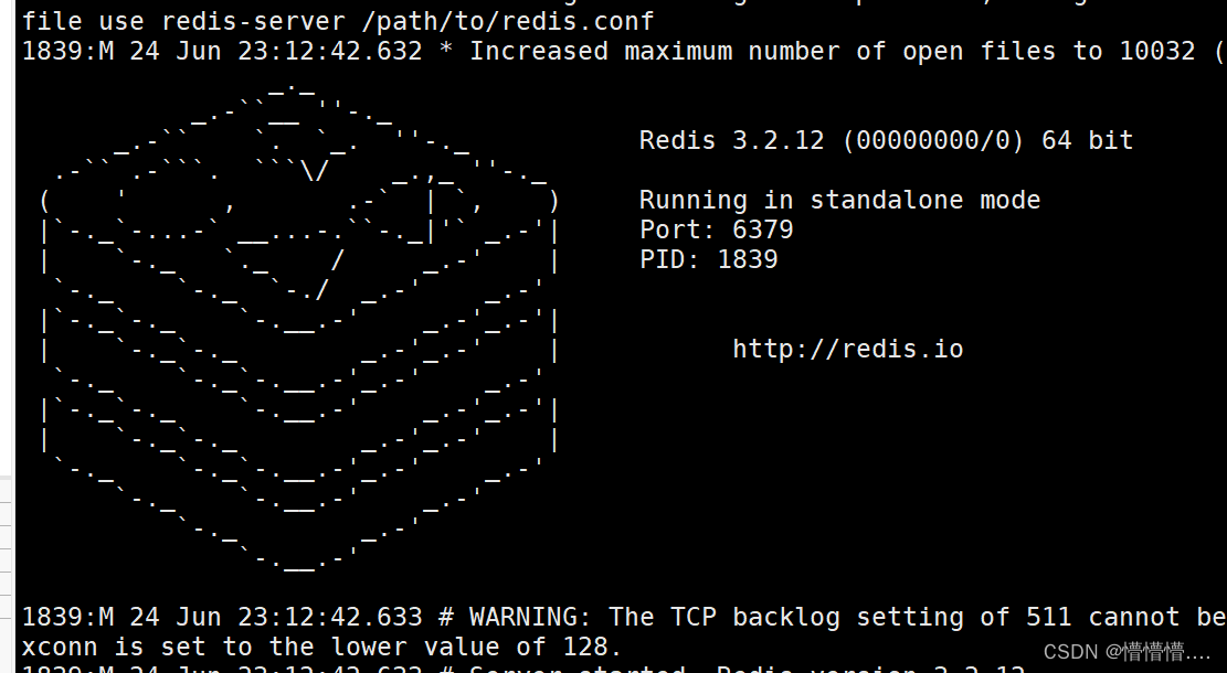 Redis 启动方式_redis systemctl-CSDN博客