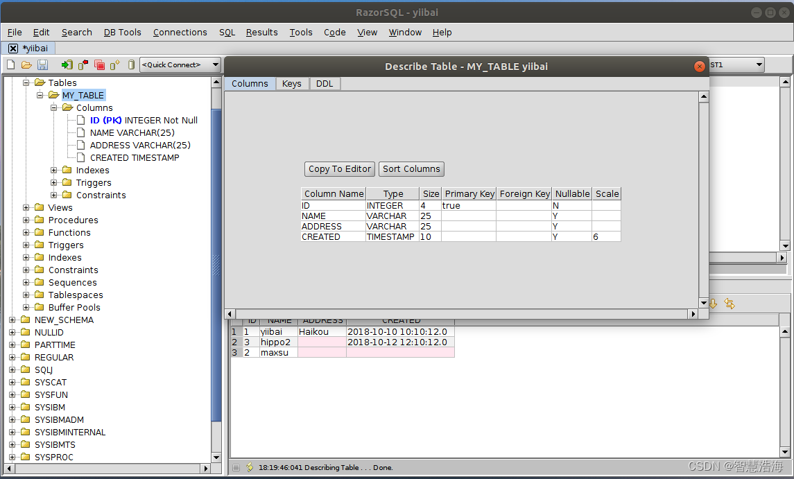 DB2 RazorSQL描述-CSDN博客