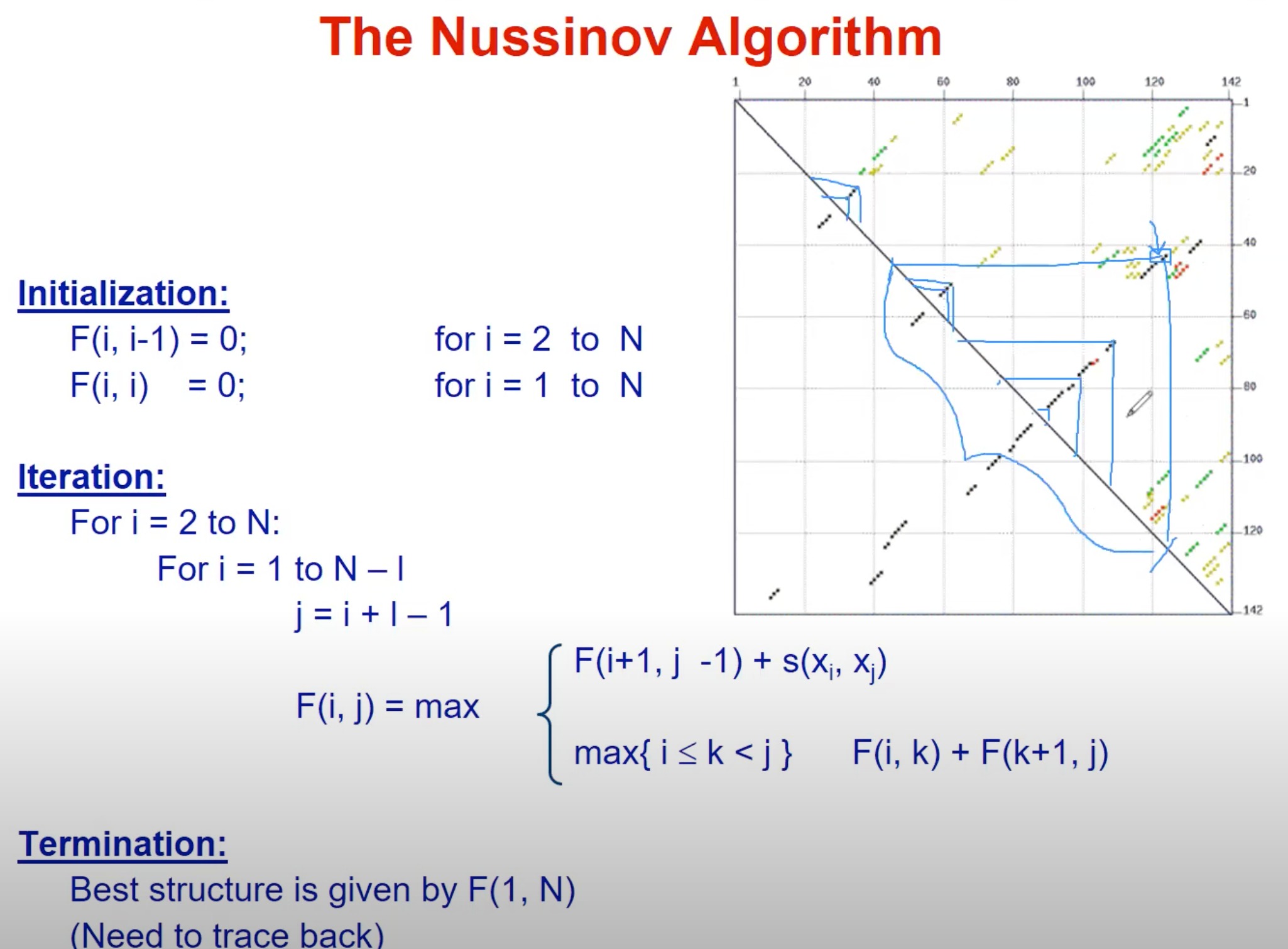 【RNA folding】RNA折叠算法与生物物理约束_rnafold-CSDN博客