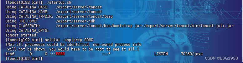 Error: Could not create the Java Virtual Machine（Linux启动tomcat成功后找不到进程8080端口）_linux could not ...