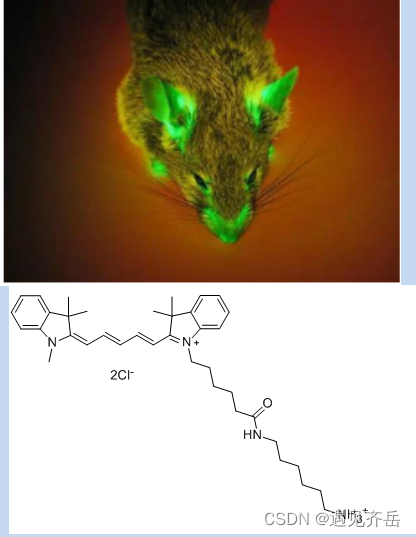 磺基-CY5 氨基|Sulfo CY5-氨基NH2|Cyanine5 amine-CSDN博客