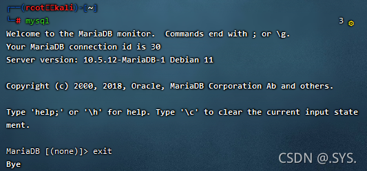 Kali安装配置Apache php MYSQL_kali安装apache-CSDN博客