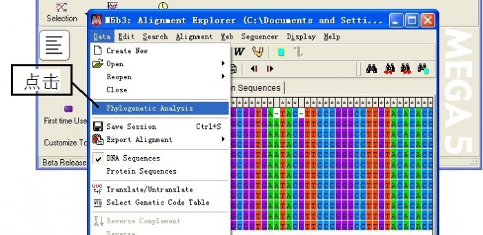 linux下phylip软件构建NJ树,MEGA软件——系统发育树构建方法（图文讲解）-CSDN博客