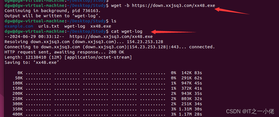 Linux系统中wget命令用法详解_linux wegt-CSDN博客