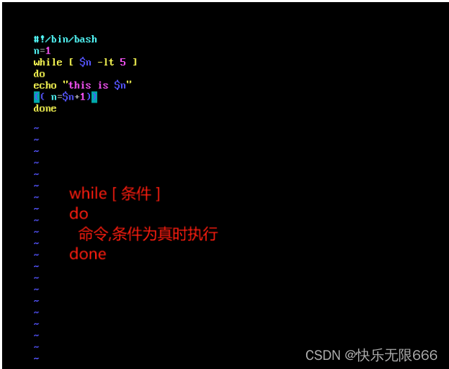 Linux-shell-CSDN博客