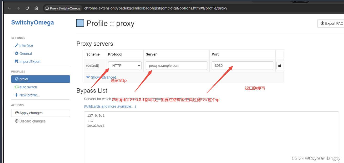 proxy SwichyOmega代理工具使用_proxy-swithchyo-CSDN博客
