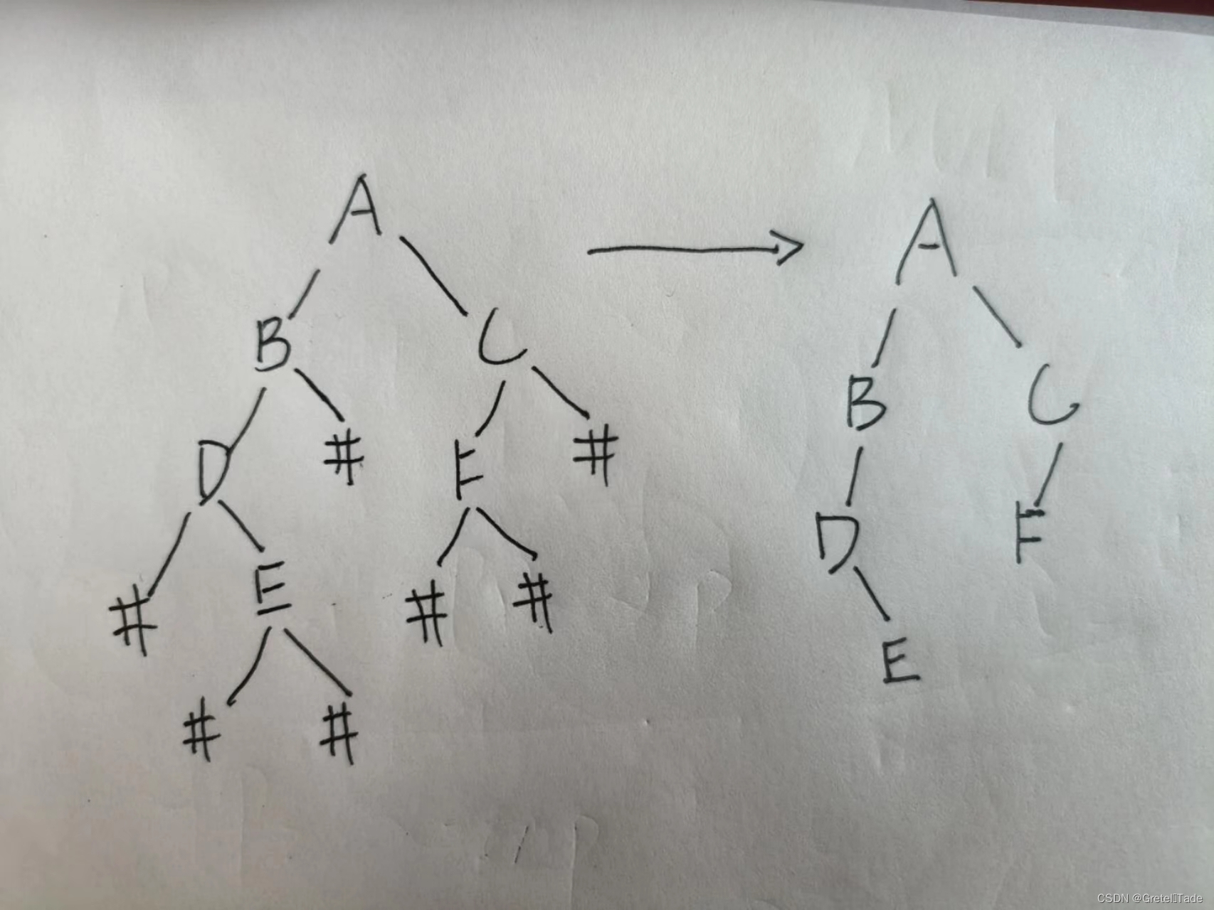 数据结构 二叉树的创建和遍历数据结构实验and二叉树的建立与遍历 Csdn博客