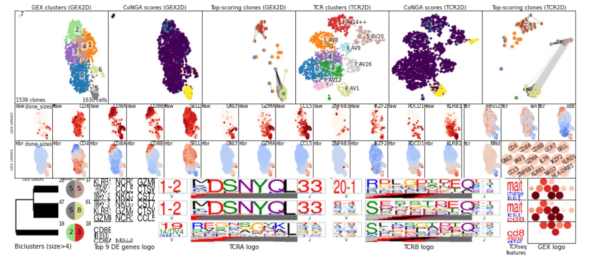 10X单细胞（10X空间转录组）转录组 & VDJ 联合分析（14）之CoNGA_conga tcr-CSDN博客