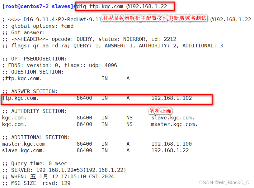 配置DNS-CSDN博客