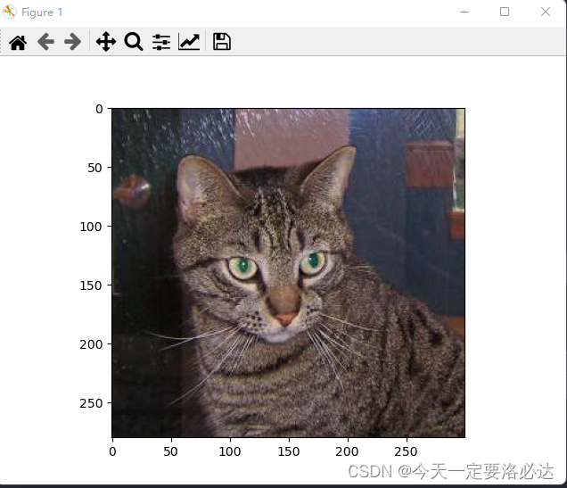 【深度学习】datasets.ImageFolder 使用方法-CSDN博客