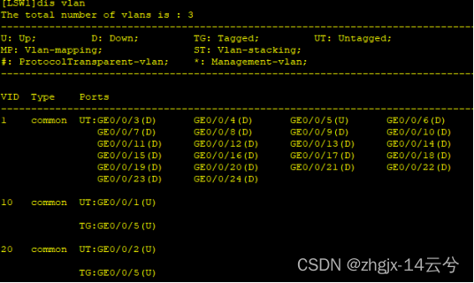 小兮手把手教你如何配置Trunk_trunk配置-CSDN博客