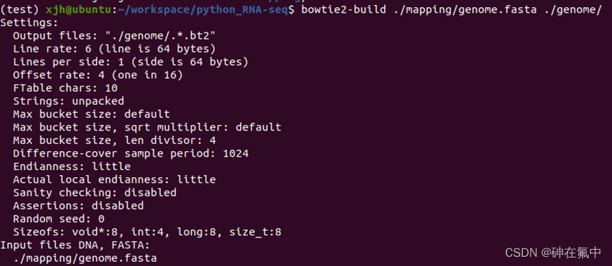 利用Python subprocess模块实现比对，SAM转BAM，排序，索引全部流程_sam文件转bam-CSDN博客