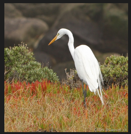 ImageBind与Stable diffusion使用记录_imagebind 图生文-CSDN博客