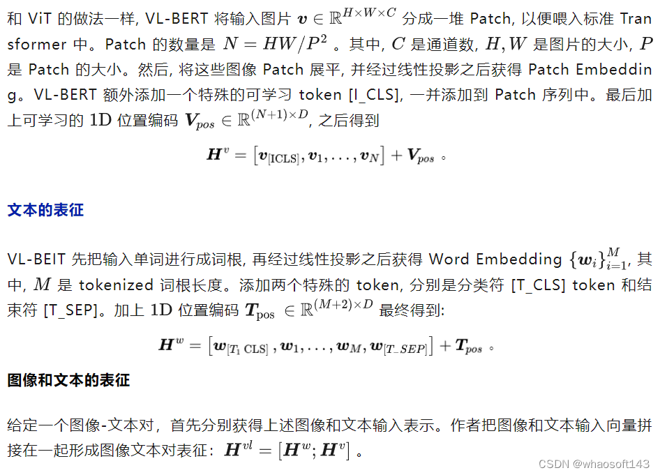 VL-BEIT_vl-beit 是怎么训练的-CSDN博客