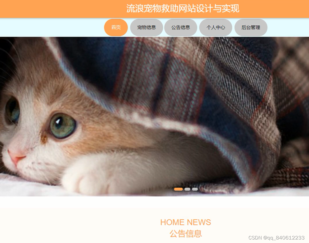 nodejs+vue+elementui在线公益-帮助流浪动物网站python java_基于javascript的流浪动物救助网站-CSDN博客