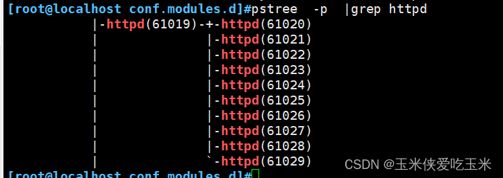 http 协议深入介绍_h t t p协议的访问-CSDN博客