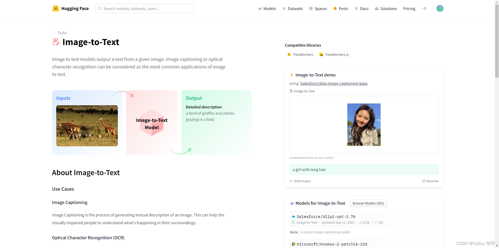 Hugging Face 介绍 & 快速搭建模型服务_huggingface-cli-CSDN博客