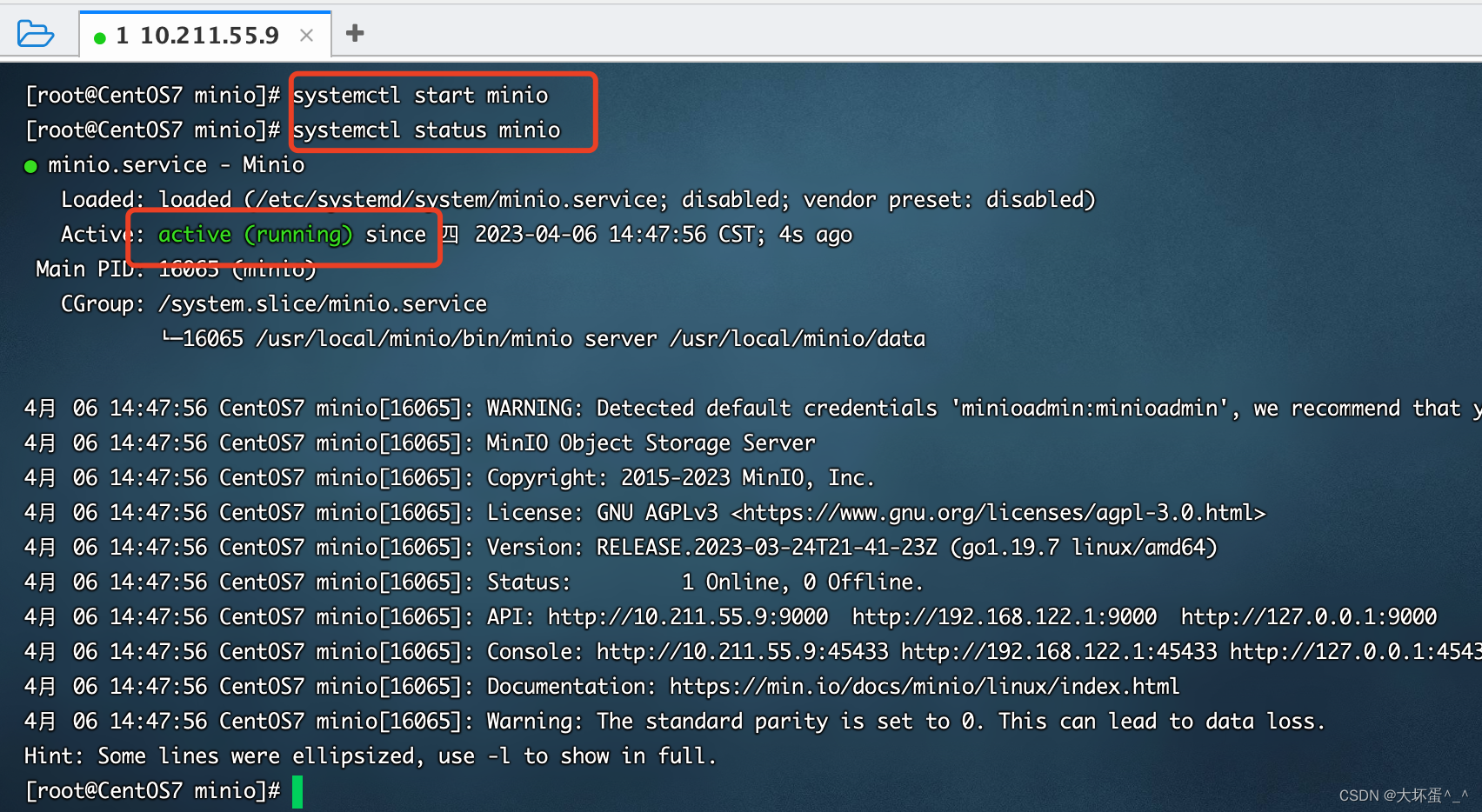 第03讲：MinIO分布式文件服务器_mino文件服务器-CSDN博客