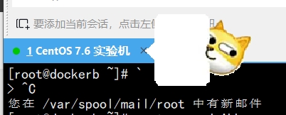 当你的Linux出现 ”您在 /var/spool/mail/root 中有新邮件“-CSDN博客