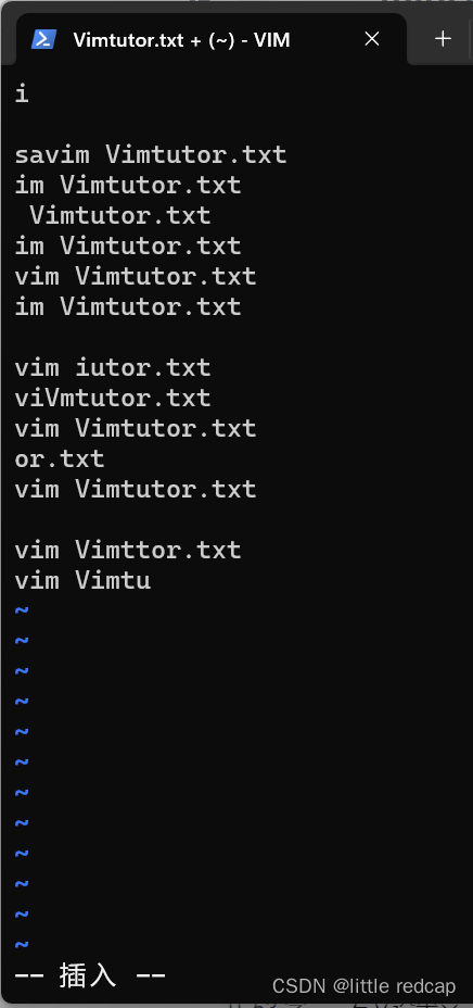 Linux--MyMiniTry--Vim_try vim-CSDN博客
