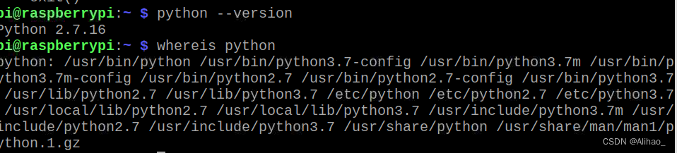 树莓派部署yolov5-lite全过程及踩坑记录-CSDN博客