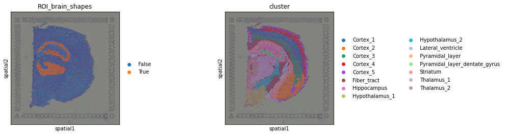 squidpy 教程 3：使用 Napari 进行交互式可视化_napari plugin如何使用-CSDN博客