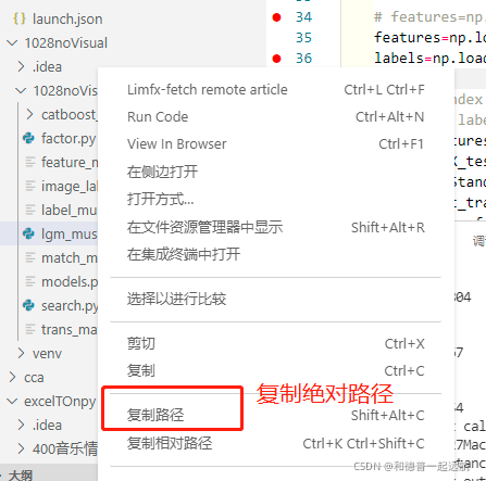 Python vscode找不到npy文件 绝对路径和相对路径问题_为什么模型跑完没有pred.npy文件-CSDN博客