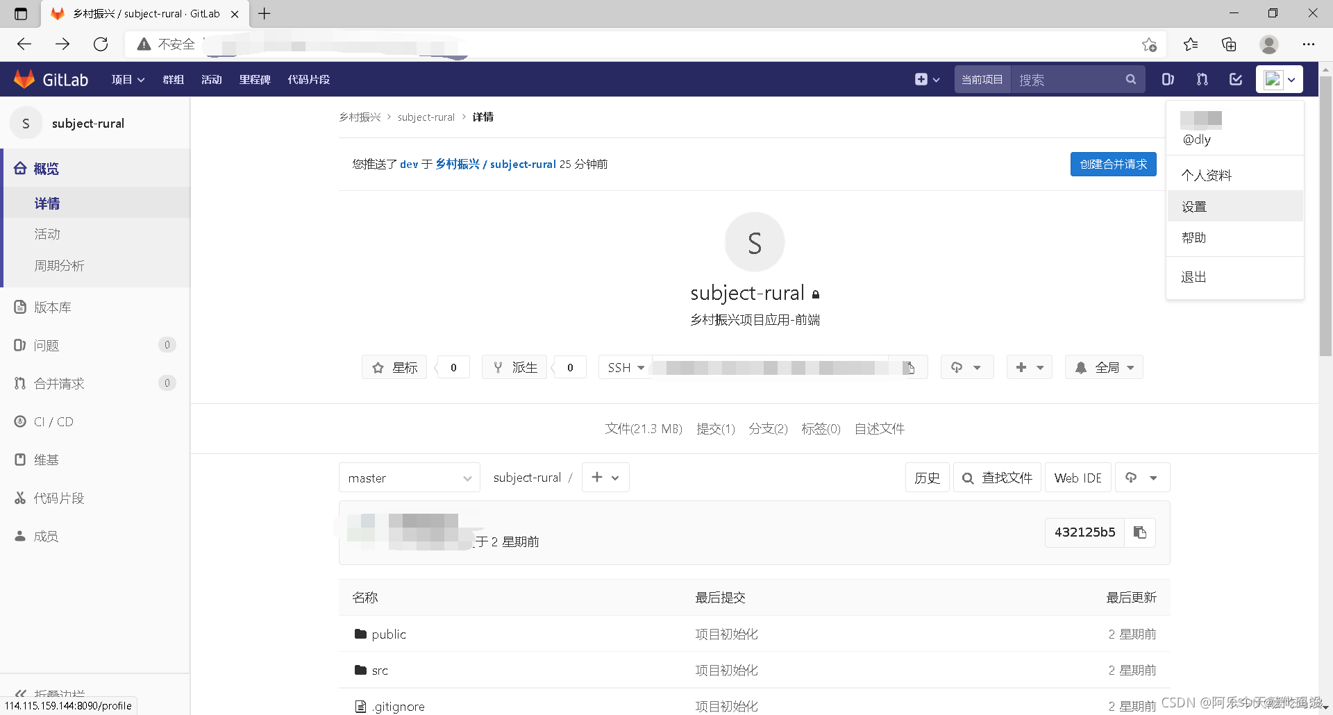 gitlab 推送_gitlab push-CSDN博客