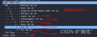 TCP/UDP/ARP/DNS/HTTP/帧的包头解析（保姆级分析）_tcp包头-CSDN博客