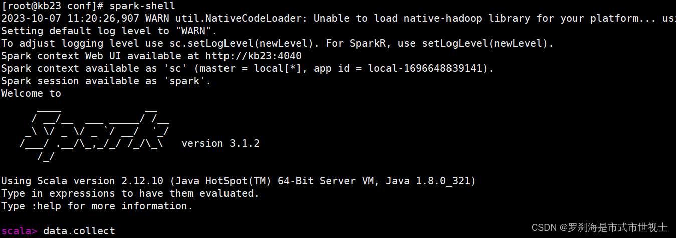 Spark入门指南：基础与安装-CSDN博客
