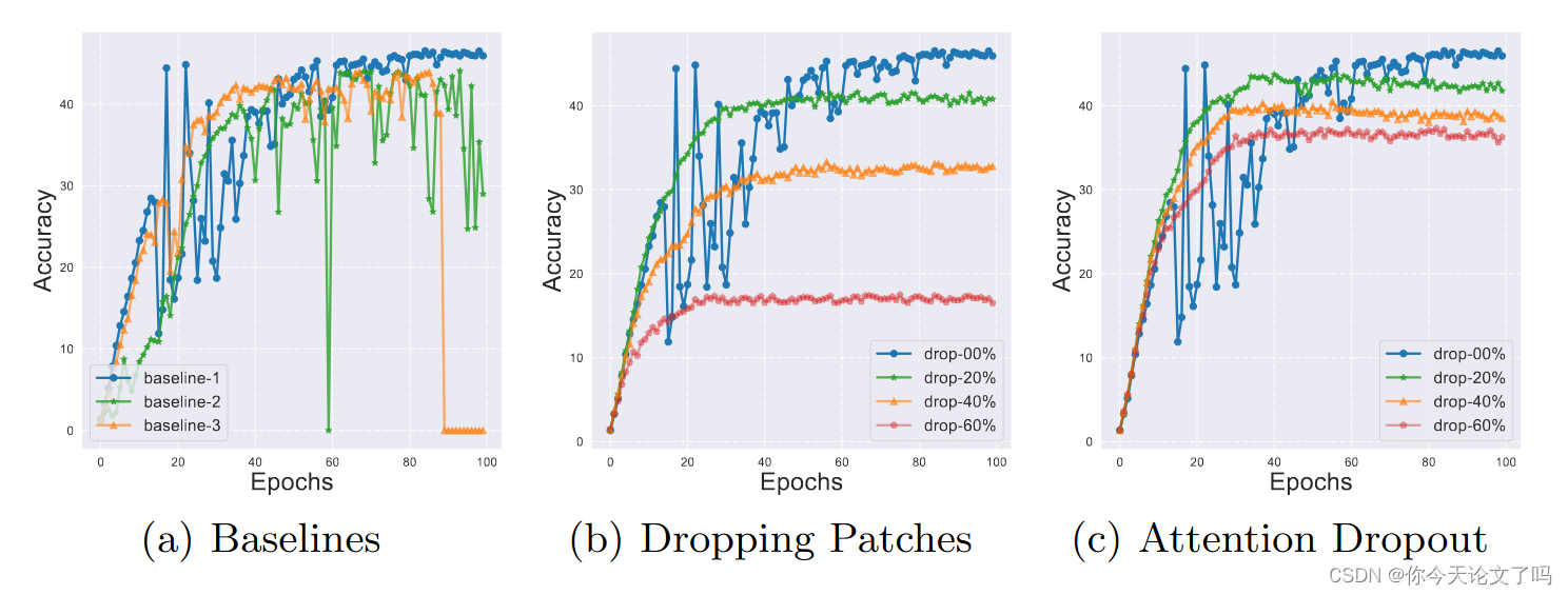 Towards Efficient Adversarial Training on Vision Transformers-CSDN博客