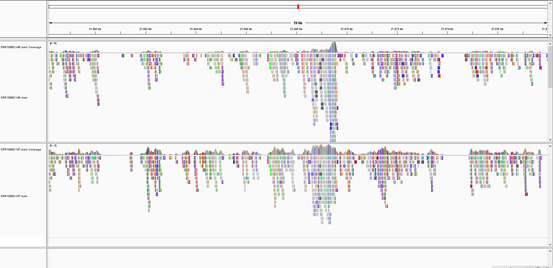 在Windows下完成ChIP-Seq分析_windows chip-seq-CSDN博客