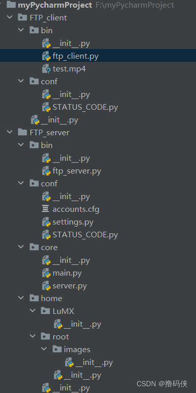Python网络编程 03 实验：FTP详解_python ftp-CSDN博客