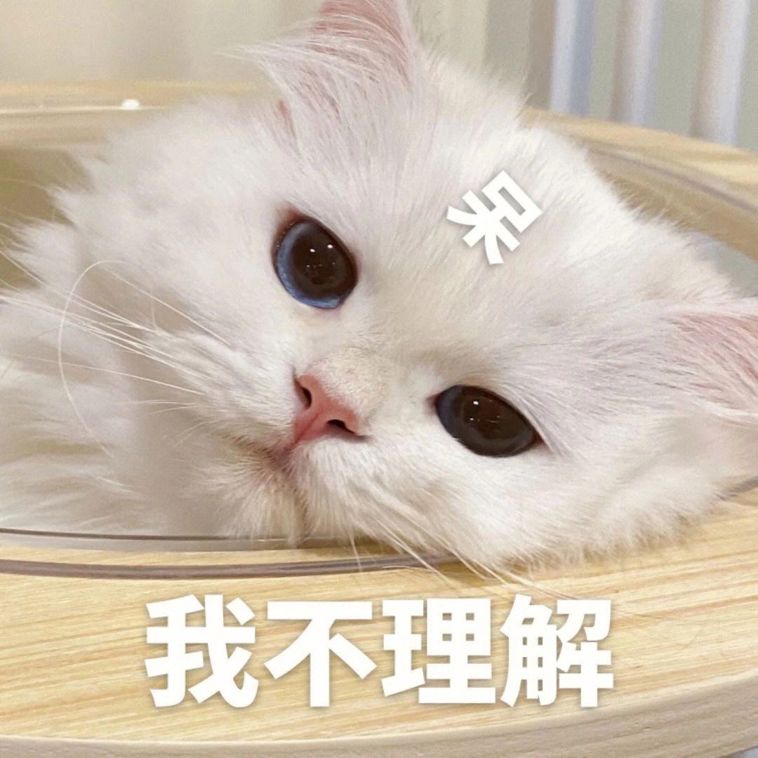 Pta Sql刷题系列之基础篇——查询补充练习(一)本题目要求编写sql语句检索出图书表中所有记录 Csdn博客
