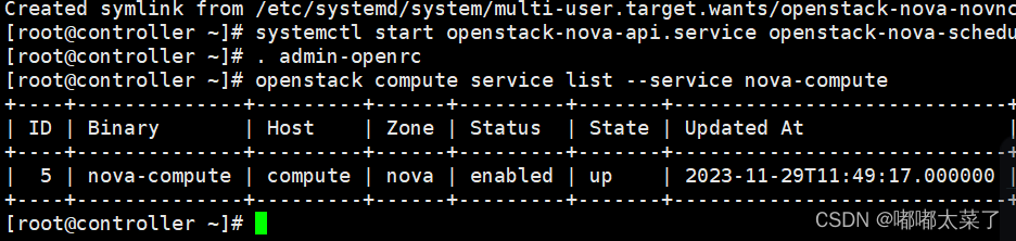 【Openstack Train安装】九、Nova安装-CSDN博客