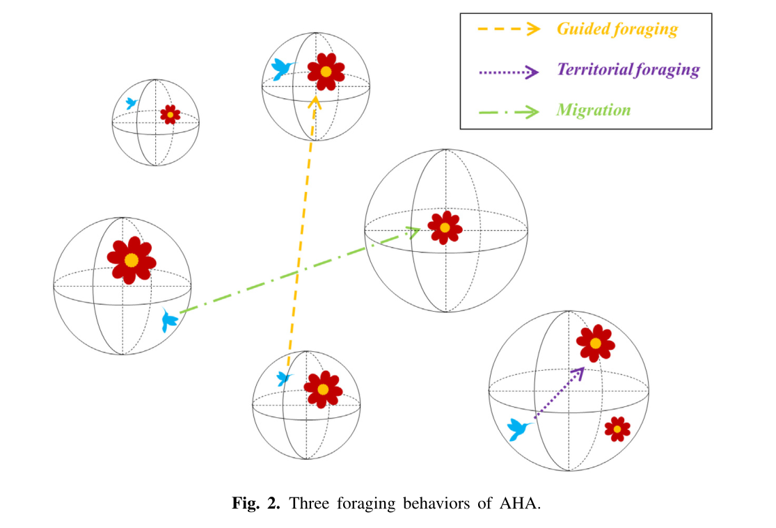 【智能优化算法】人工蜂鸟算法(Artificial Hummingbird Algorithm,AHA)_hummingbird算法-CSDN博客