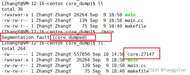 核心转储core dump_plc a core dump-CSDN博客