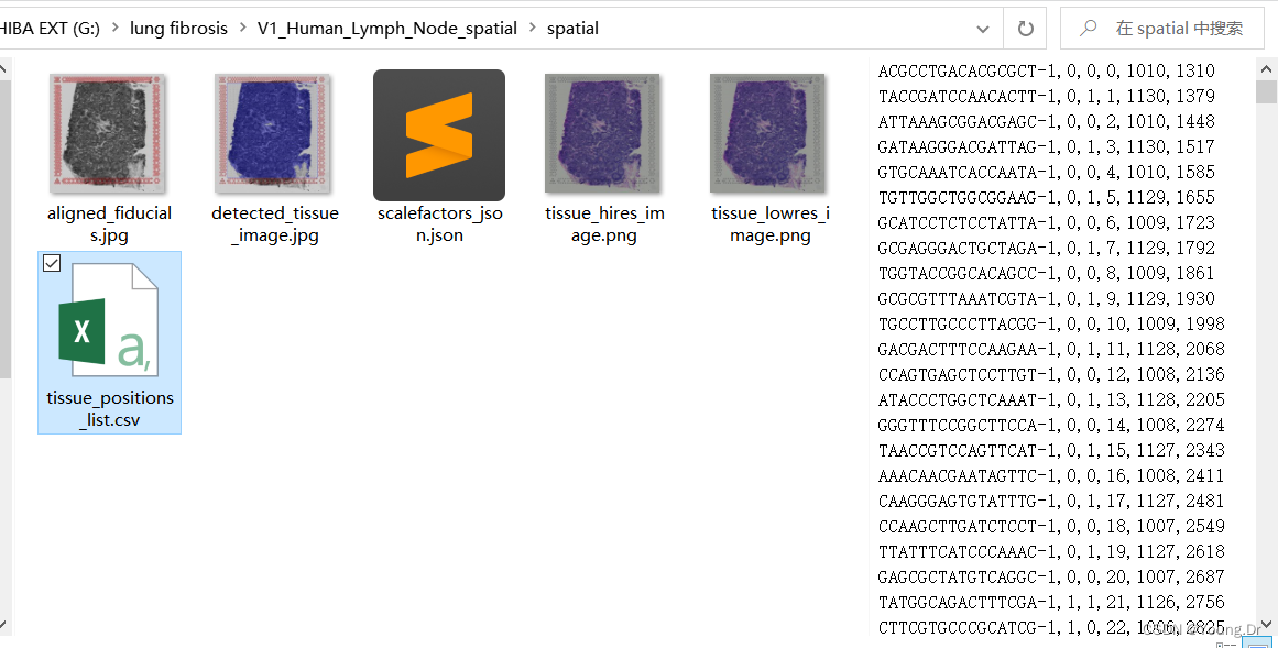 scanpy 空转数据结构seurattoscanpy spatial_scanpy 读取空转-CSDN博客