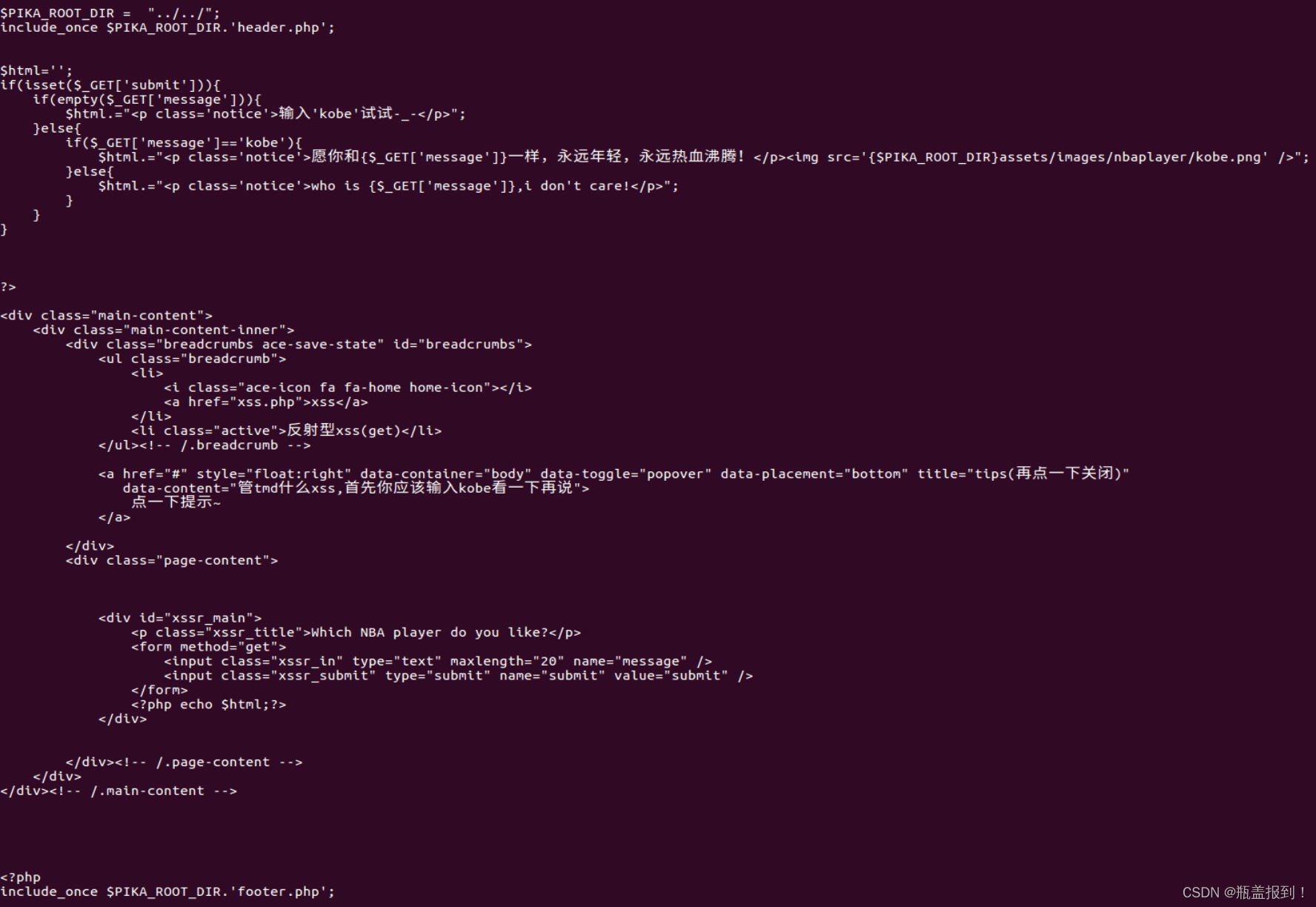 xss漏洞篇_console.log xss-CSDN博客