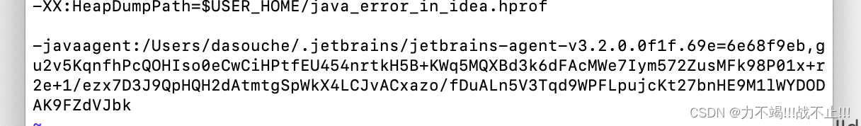 mac安装idea2024.1.1后打开软件报错：CompileCommand: exclude com/intellij/openapi/vfs/impl/FilePartNodeRoot ...