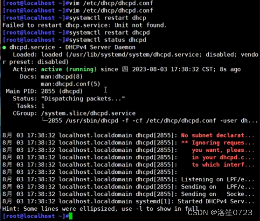Linux网络、DHCP服务_linux dhcp命令-CSDN博客