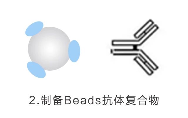 一文读懂CoIP实验：原理、实验流程、遇到的问题-CSDN博客